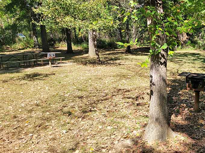 Shaded picnic spots offer respite from the open prairie, because even time travelers need lunch breaks.