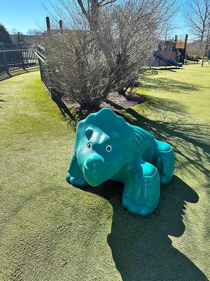 This turquoise triceratops has seen more action than most dinosaurs ever dreamed of seeing.