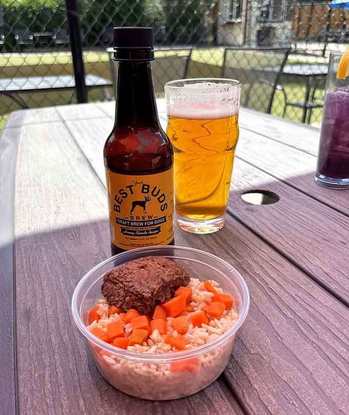 Your pup's Bark Bowl looks better than most human meals, complete with rice, carrots, and quality protein.