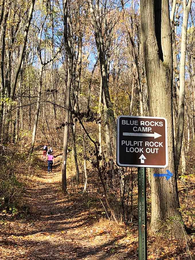 The Appalachian Trail doesn't mess around with its terrain, serving up nature's obstacle course through these woods.