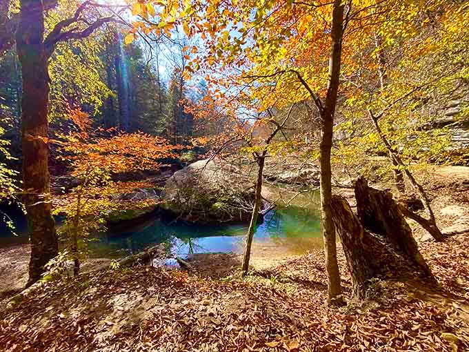 When fall leaves carpet the forest floor and that blue pool appears, you've found nature's own secret swimming hole.
