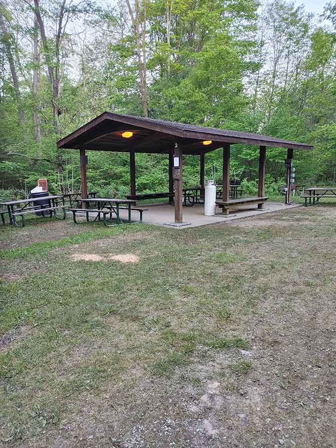 A covered pavilion in the woods offers shelter for picnics, proving nature's dining room beats any restaurant view.