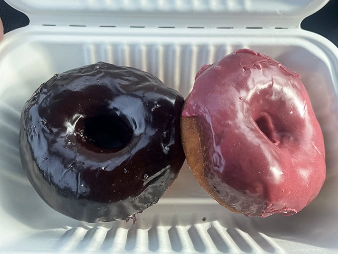 This colorful lineup looks like a donut rainbow decided to land in Wilton and never leave, bless its sugary heart.