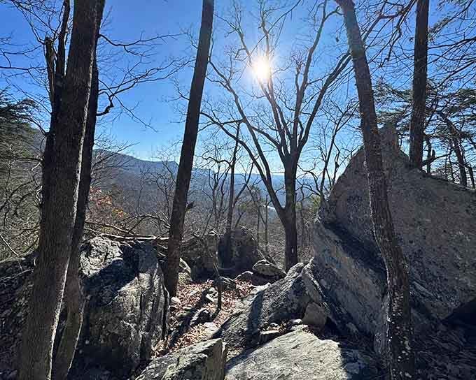 Perched on layered stone like a throne, this spot offers views that make the climb worthwhile.