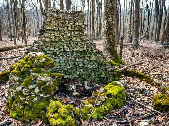 Moss-covered stones create natural art installations that would cost a fortune to replicate in any modern park.
