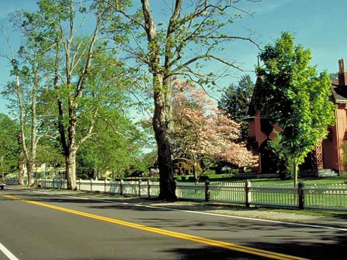 Spring transforms Route 169 into a postcard that somehow forgot to include any tourist traps or billboards.