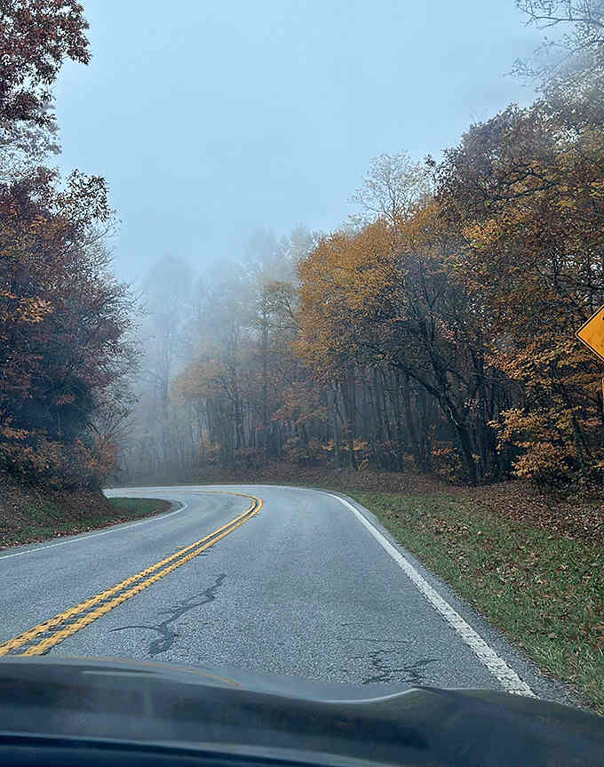 Fog-shrouded curves ahead promise adventure around every bend, testing your patience to drive slowly and savor it.