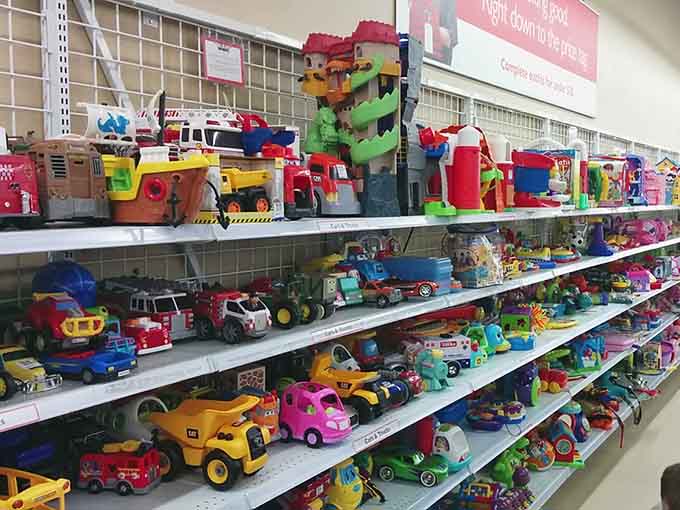 Colorful toys lined up like a rainbow of second chances, ready to spark joy in their next adventure.