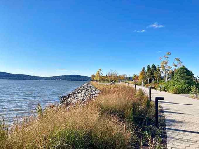 Native grasses frame the walkway, proving that landscaping doesn't need to look like a golf course to be beautiful.