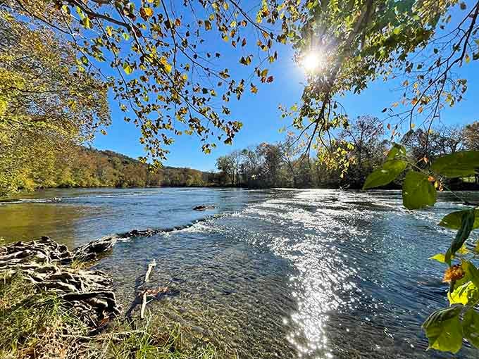 The Shenandoah flows like liquid tranquility, reflecting sky and forest in equal measure throughout the seasons.