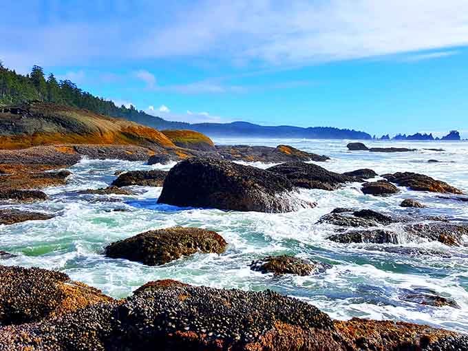 Waves crash over barnacle-covered boulders, creating the kind of wild beauty that never gets old to watch.