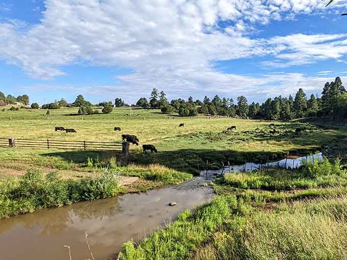 Creek Meadow Trailhead offers cattle grazing by peaceful waters, the kind of scene that lowers your blood pressure instantly.