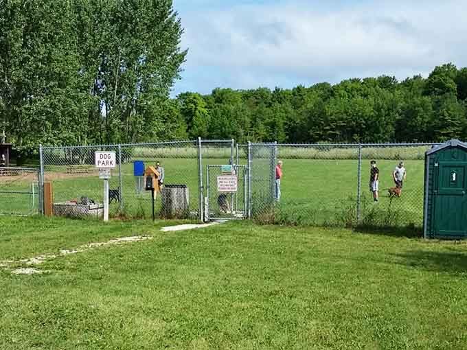 Even the dogs get their own park here, because Sister Bay believes everyone deserves a waterfront view and room to run.