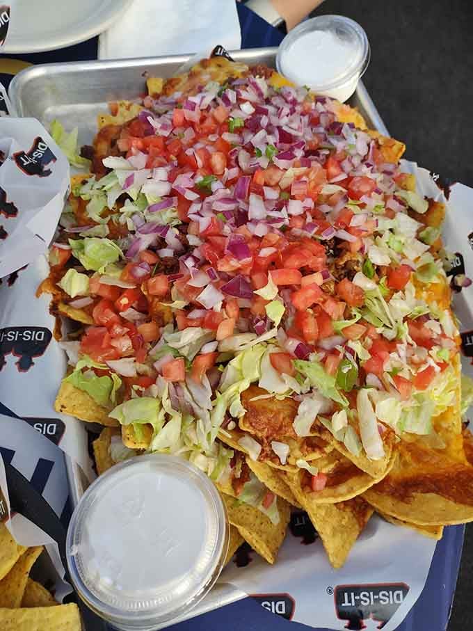 This nacho mountain could feed a small army or one very determined person with excellent life priorities.