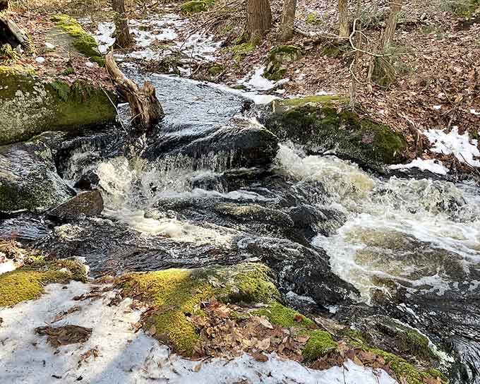 Moss-covered boulders and rushing water create a scene straight out of a Tolkien novel's opening chapter.