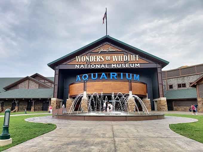 This place proves Springfield takes its wildlife seriously, offering adventures that rival any coastal city's attractions.