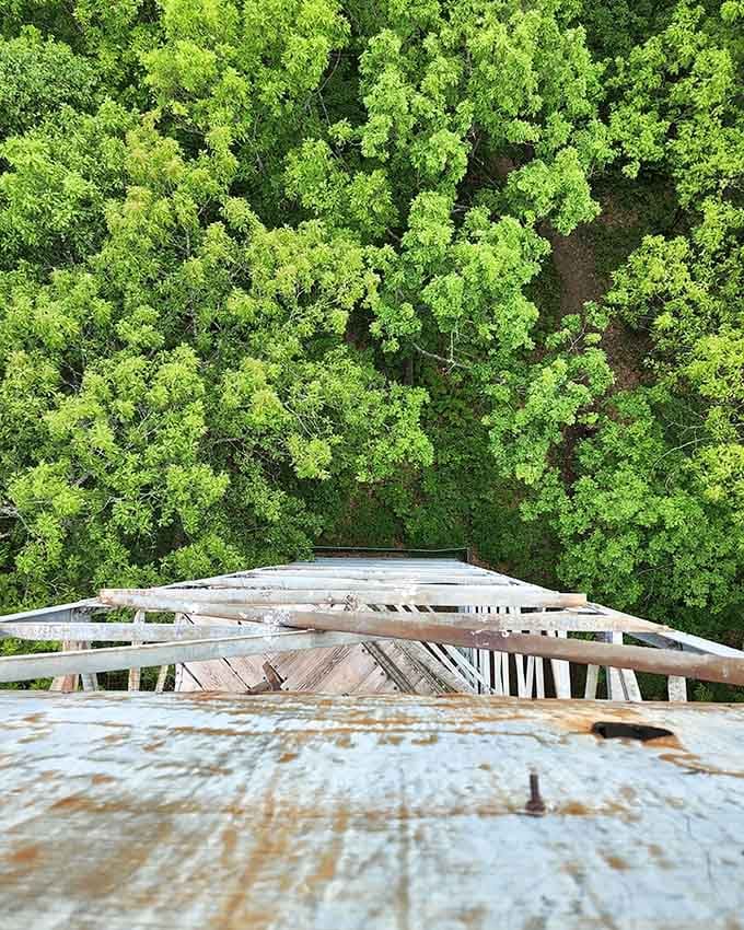 The view from up here makes every shaky step climbing that tower completely worth it.