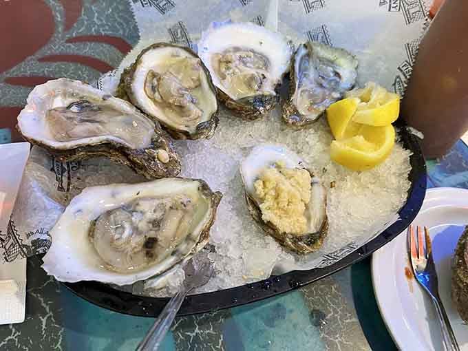 Fresh oysters on ice, because sometimes the simplest presentations are the most spectacular culinary experiences you'll have.