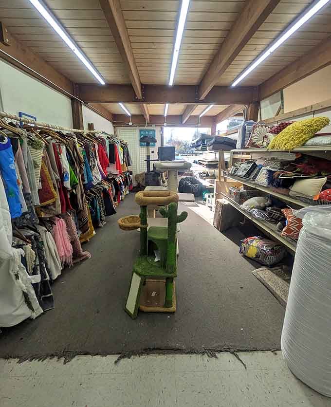 That green cactus stool is either brilliantly whimsical or wonderfully weird, possibly both at once.