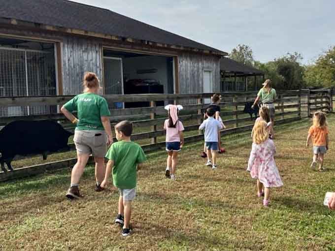 Leading young explorers through a world where education feels like the best kind of playtime imaginable.