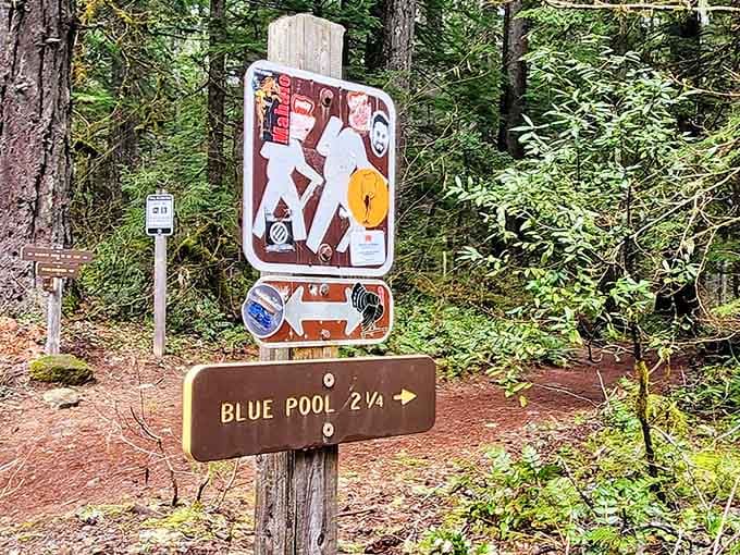 Two miles to paradise, and trust me, every step is worth the payoff waiting ahead.