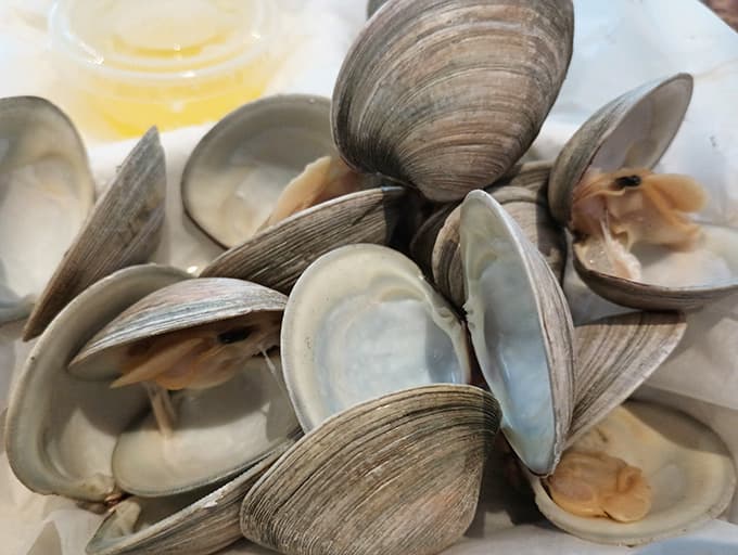 Fresh clams in their shells, simple and pure, proving sometimes the best things need no introduction whatsoever.