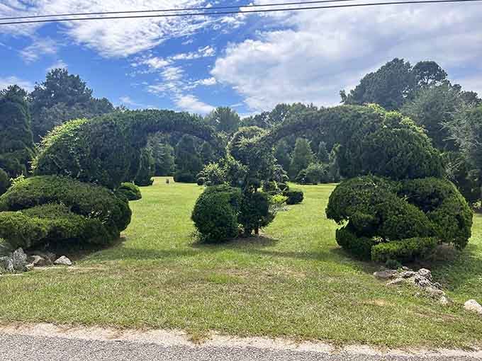 Nature's own version of a rainbow, except it stays put and you can walk right under it.