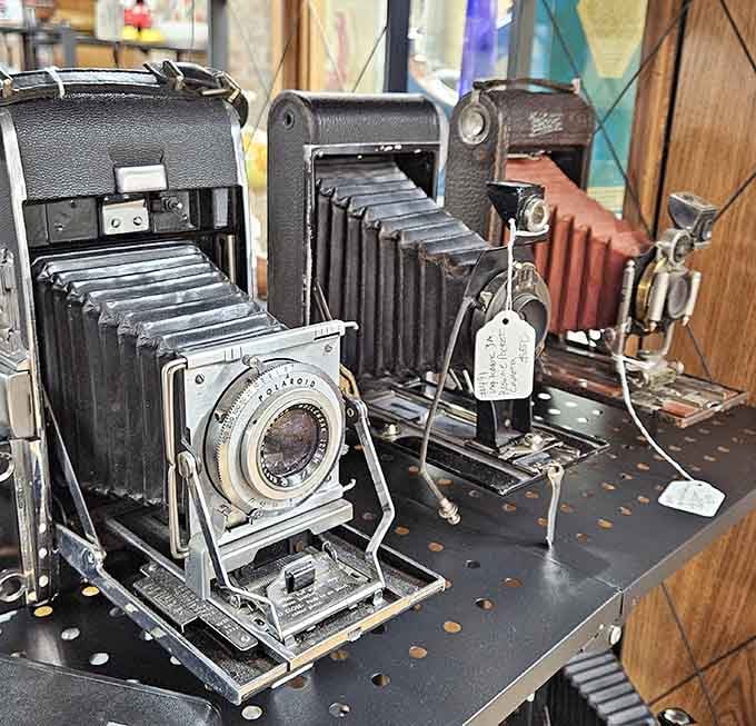 These vintage Polaroid cameras captured memories long before smartphones made everyone a photographer – beautifully mechanical nostalgia.