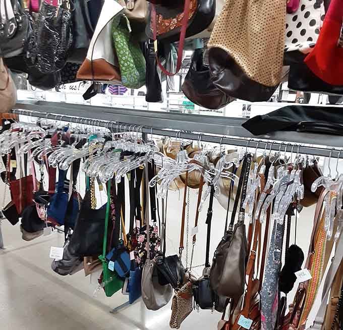 Purses hanging like fashion fruit ready to be plucked, each one holding secrets from its previous owner's adventures.