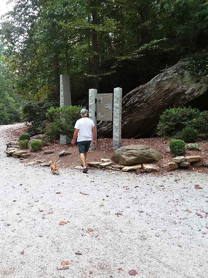 A leisurely quarter-mile stroll through the woods is all that stands between you and waterfall glory.