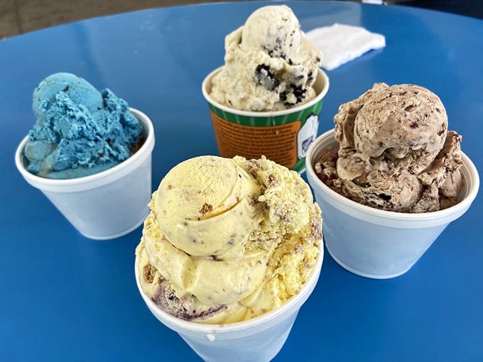 Four cups of creamy perfection showcase the variety available, each flavor more tempting than the last one.
