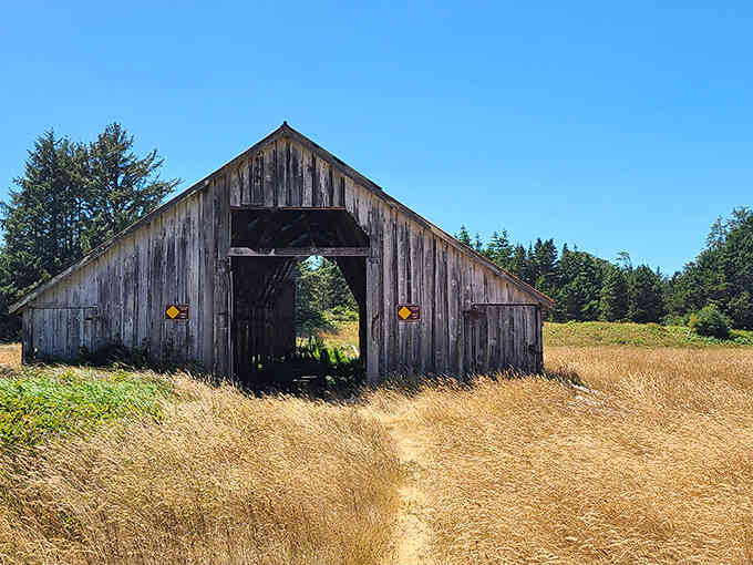 Time-worn and beautiful, this old barn tells stories without saying a word, standing proud against the elements.