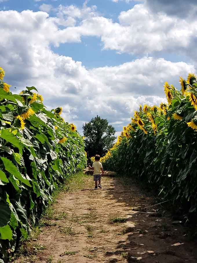 Little explorer discovering that the best adventures don't require a screen or a password.