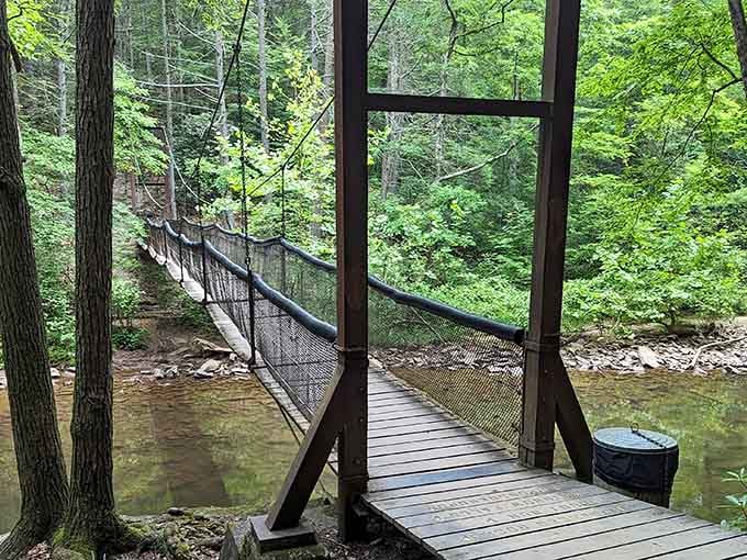 Walking this swaying bridge feels like nature's gentle reminder that a little adventure never hurt anyone.