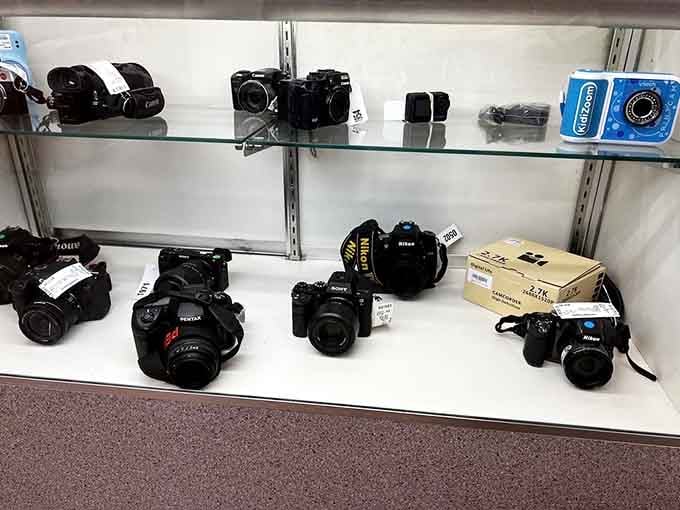 Professional cameras wait patiently for photographers who'll actually remember to pack them on the return trip home.