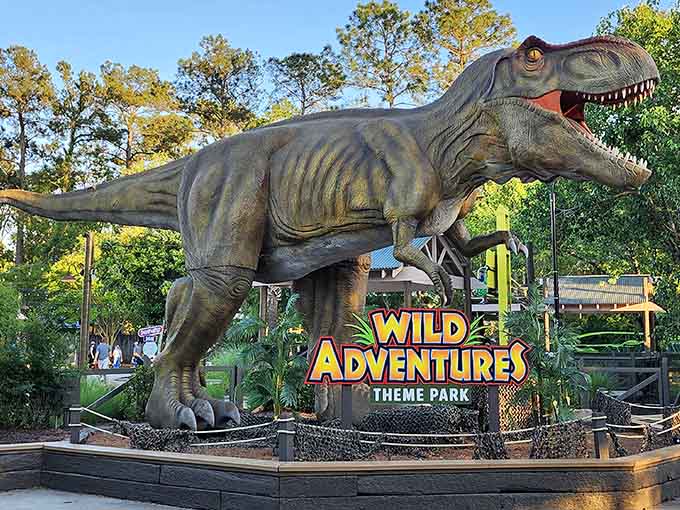 That giant T-Rex at Wild Adventures means business, and yes, the rides inside are just as thrilling as advertised.