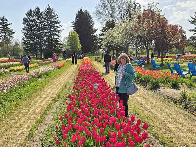 Walking these pathways between endless blooms makes you understand why people lose track of time here completely.