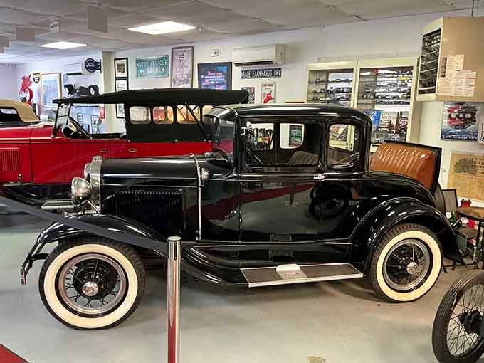 Model cars displayed like precious gems, because to collectors, that's exactly what these miniature marvels are worth.