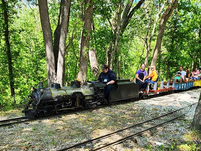 Riding through the forest canopy, passengers discover that sometimes the scenic route is the only route worth taking.