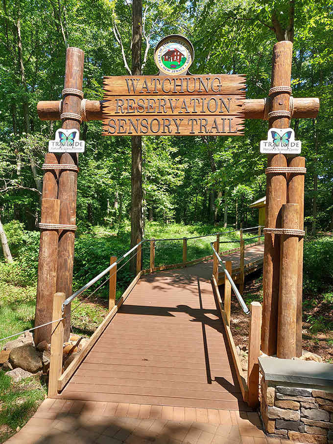 The sensory trail entrance welcomes you to experience nature with all five senses, sixth sense optional.