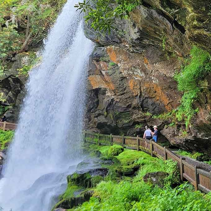 Nothing says "pull over immediately" quite like catching your first glimpse of Slick Rock Falls through the trees.