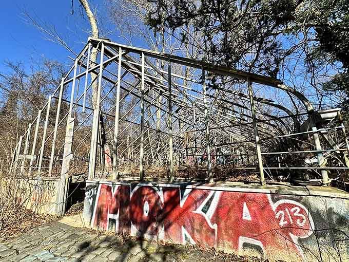 Skeletal greenhouse frames reach skyward like industrial dinosaurs, their metal bones a testament to Gold Coast grandeur gone wild.