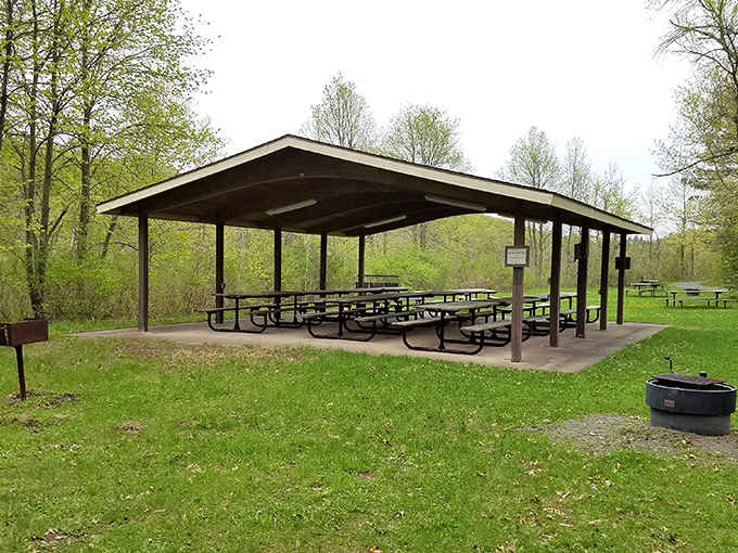 Rain or shine, this spacious picnic shelter has you covered for family gatherings and outdoor feasts galore.