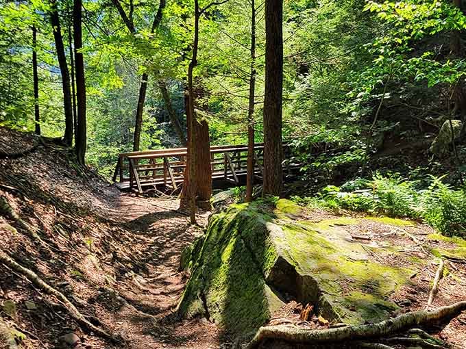 Moss-covered boulders and wooden bridges make you feel like you've wandered into a fairy tale without the talking animals.