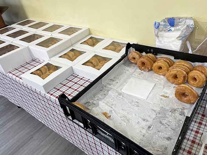 Fresh donuts lined up like golden soldiers, their glazed surfaces catching light and making your willpower evaporate instantly.