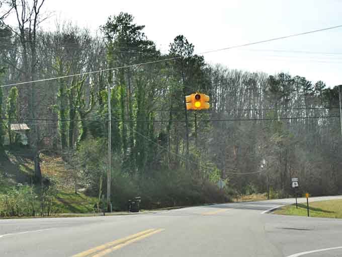 The gentle curve ahead promises discoveries around every bend, framed by towering trees standing like silent sentinels.