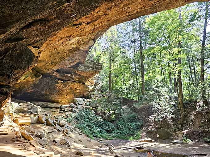 Standing beneath this massive sandstone overhang feels like entering a natural cathedral carved by water over countless millennia.