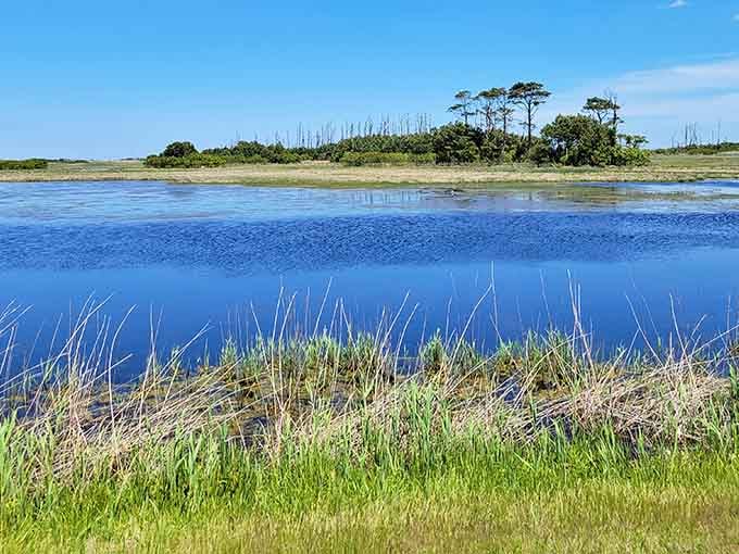 This blue water mirrors the sky so perfectly, you'll question which way is up in the best way.