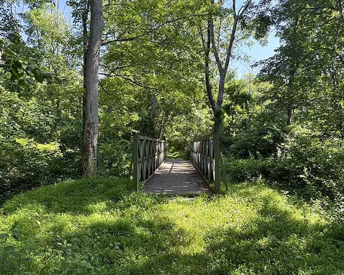 This simple wooden bridge beckons you forward into lush summer greenery, where adventure and serenity meet perfectly.