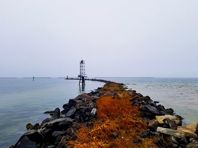 Golden grasses line this rocky jetty reaching toward the lighthouse, nature's own yellow brick road.
